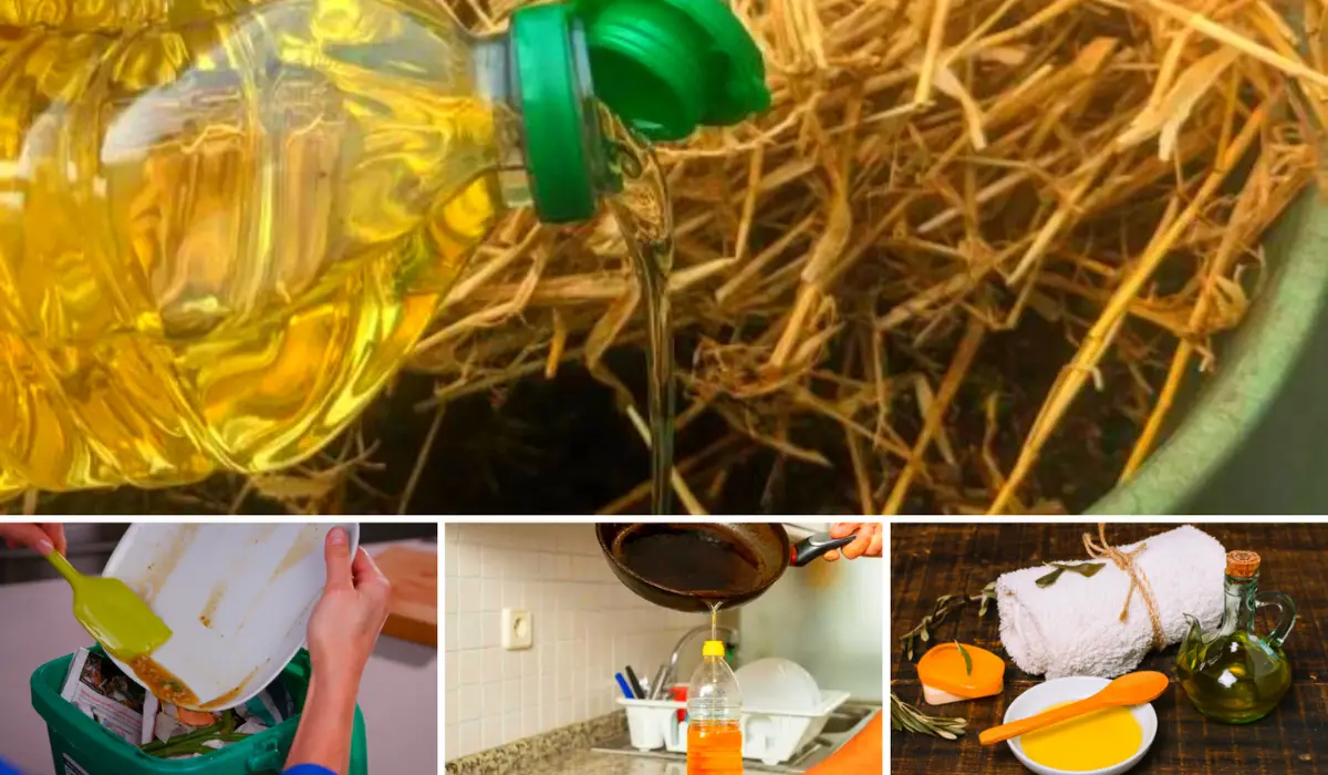 Guide for Responsible Used Cooking Oil Disposal | Lumina Homes