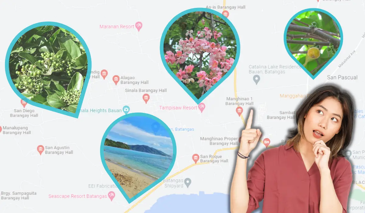 History of Bauan, Batangas and its Barrios' Folklores | Lumina Homes