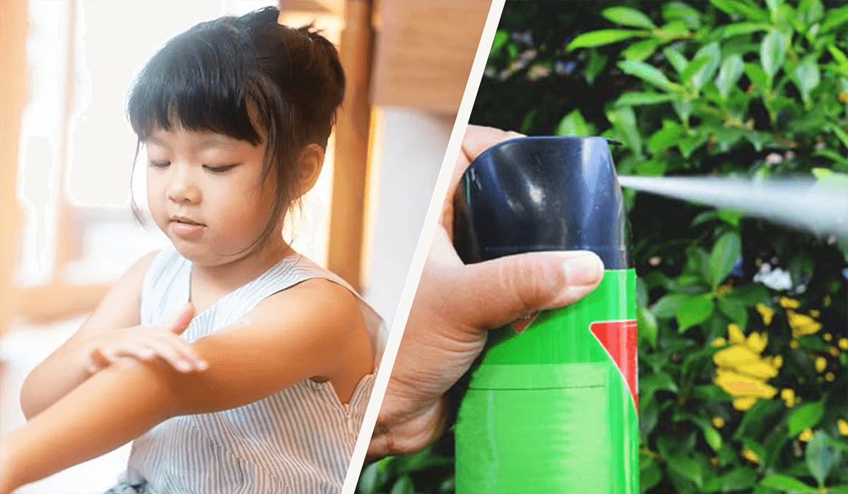 8 Tips to Avoid Dengue at Home | Lumina Homes