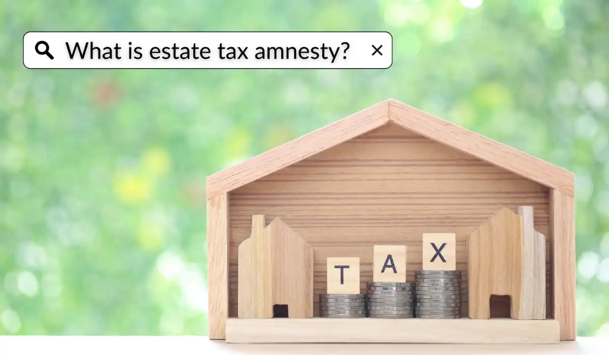 Estate Tax Amnesty &Things You Need to Know | Lumina Homes