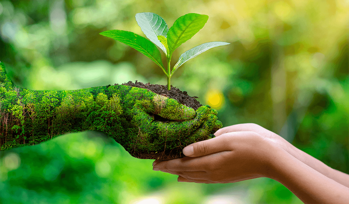 Impact of UN Policies about Environment | Lumina Homes