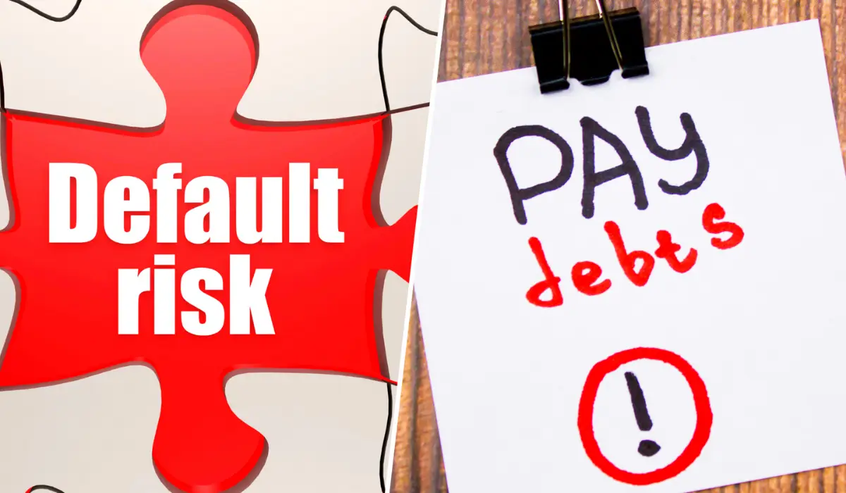 What is Loan Default and How to Deal With it? | Lumina Homes