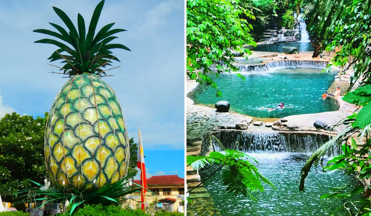 Why Live in Calauan Laguna? | Lumina Homes